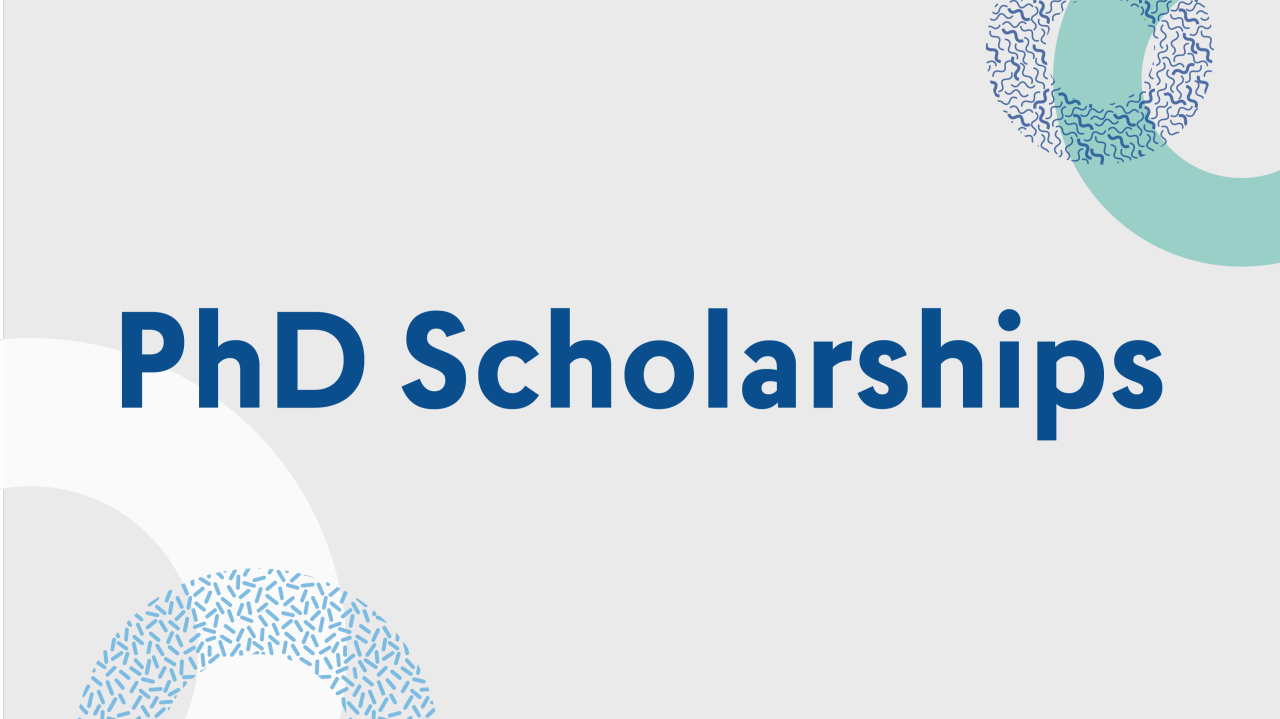 Call For Application of PhD Scholarships | University Advancement and Institutional Development